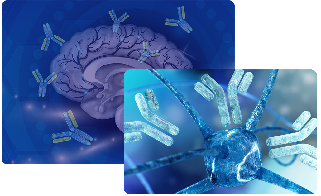 The Autoimmune Brain Panel™ Sensitivity and Specificity